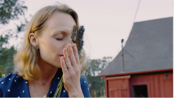 Ancestral Plant Spirit Connection Meditation by Laura Ash – The Scarlet ...